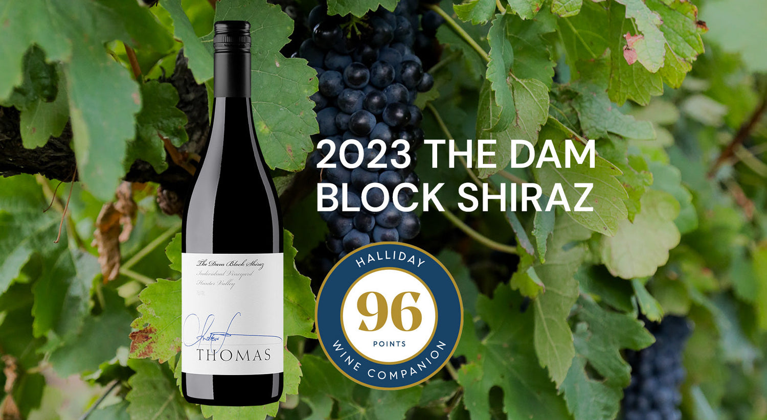 2023 The Dam Block Shiraz Receives 96 Points – Thomas Wines