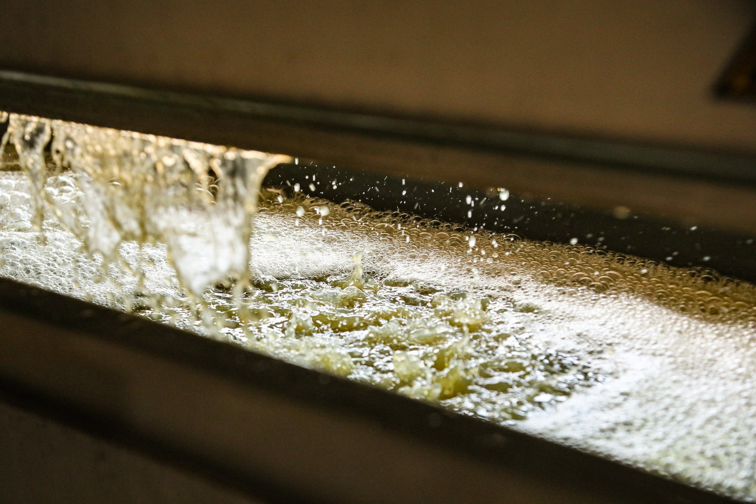 2025 Vintage Wrap Up – Thomas Wines