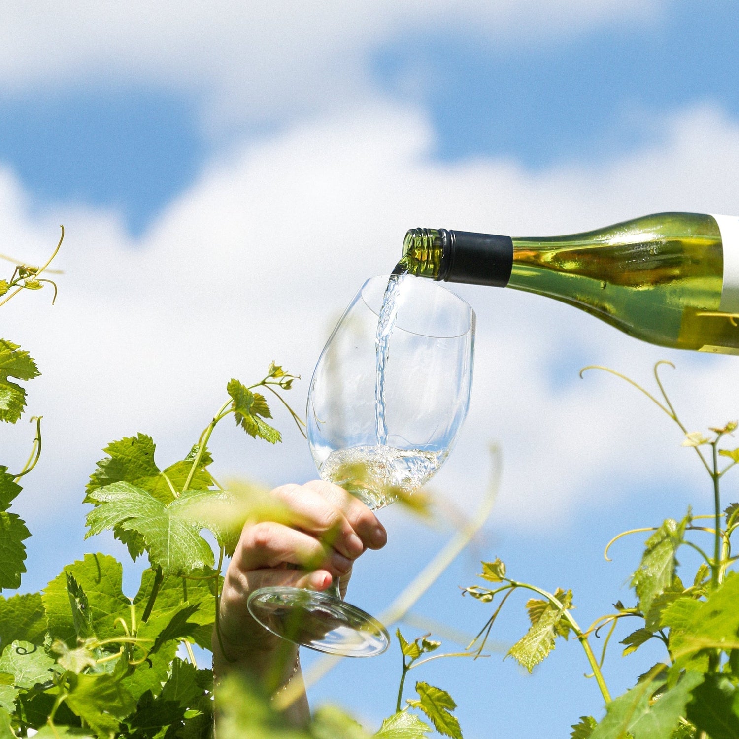 Where to Dine in the Hunter Valley – Thomas Wines