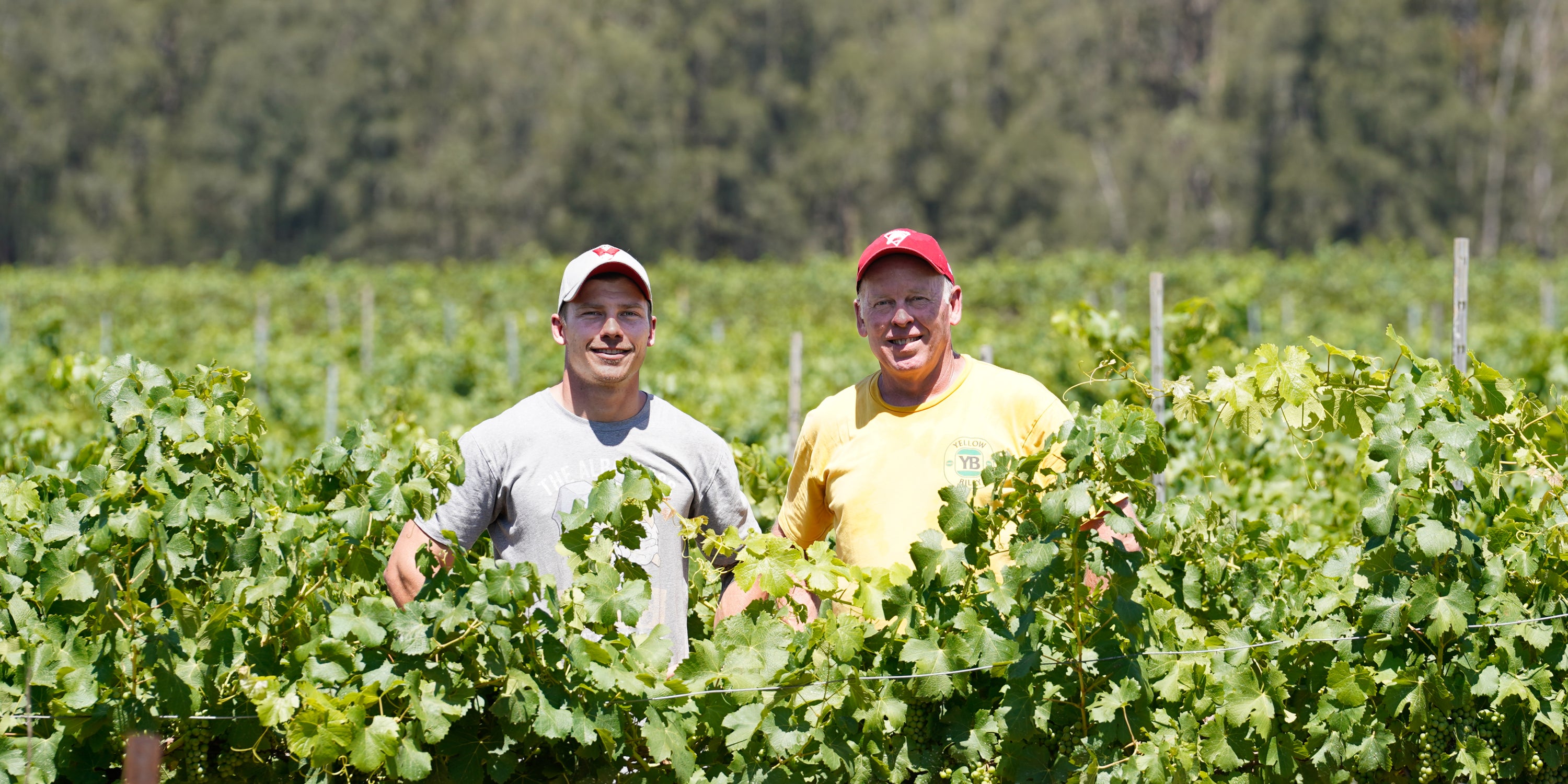 Thomas Wines Hunter Valley